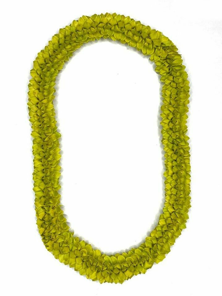 Green Hawaiian Spiral Lei | 7 Colors| Buy Hawaiian Lei