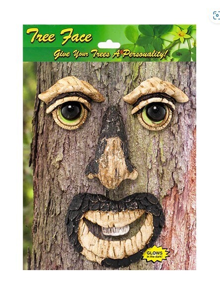 Tree Face - Mr. Tree