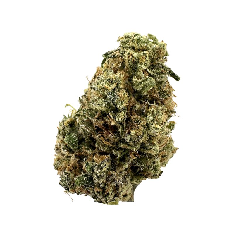 Future Haze THCa (Sativa) 41.15% TAC