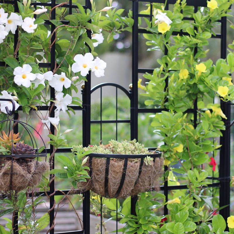 Trellises