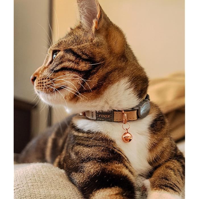 UrbanCat Collar