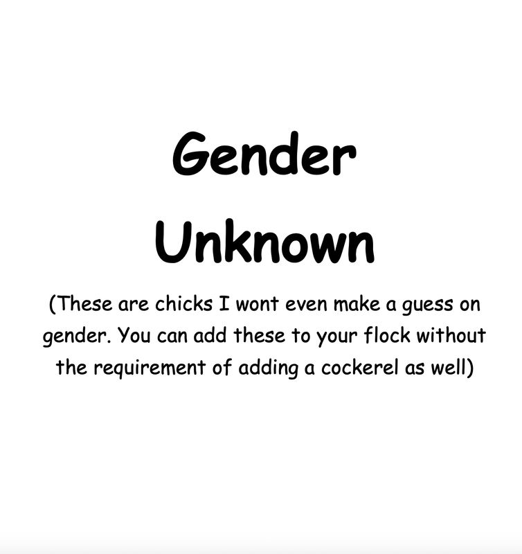 Gender Unknown