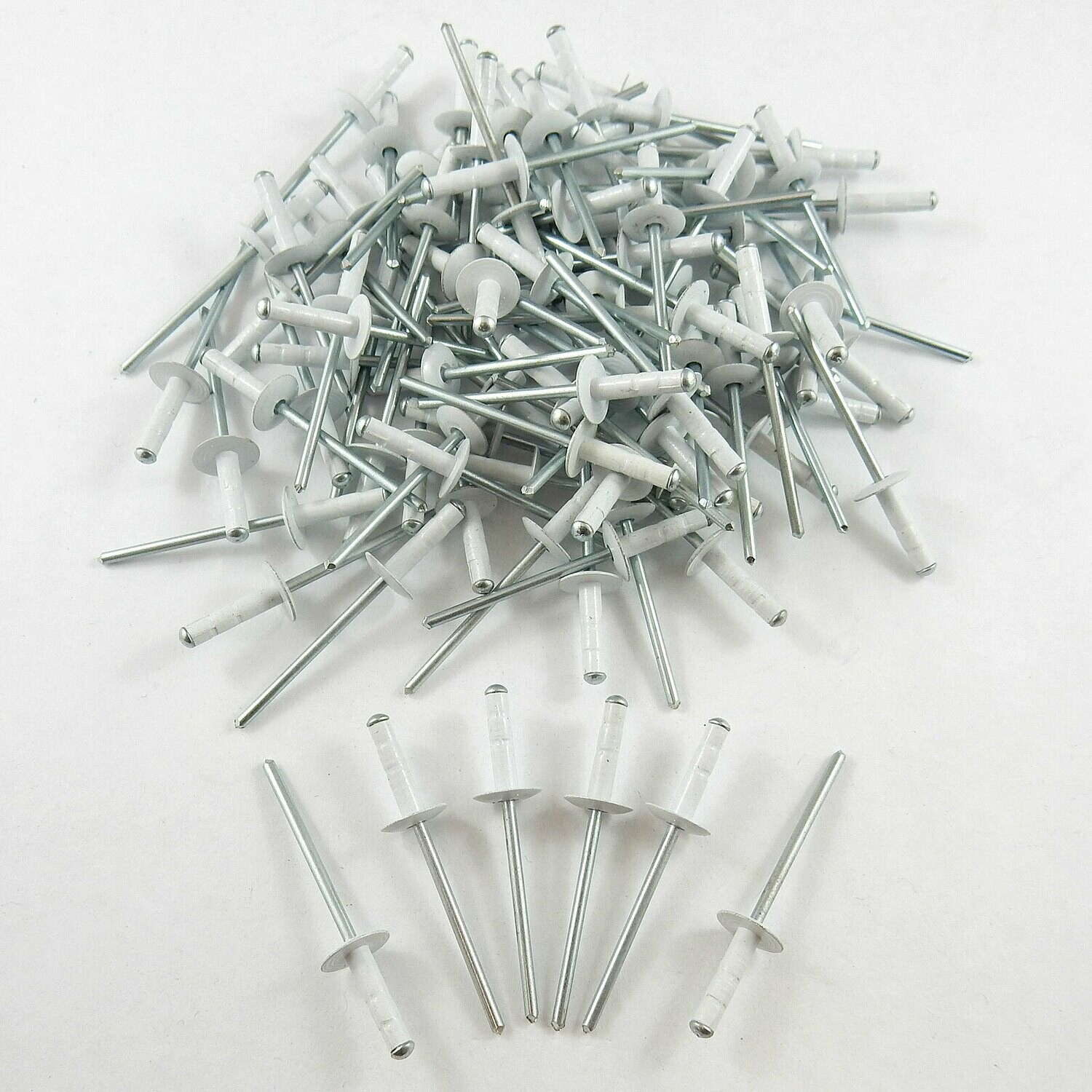 1/8" White Large Head Multi Grip Rivet - 100 Pack | Bullant Performance ...