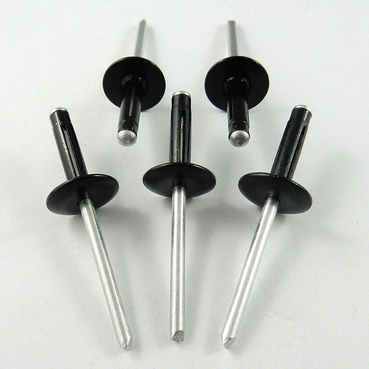 Large Head Rivets | Bullant Performance Products