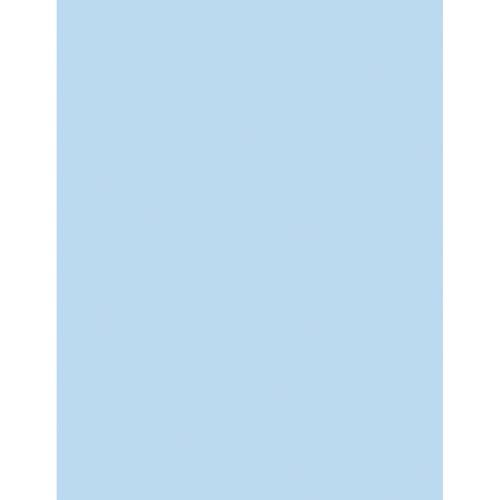 Hammermill Blue Letter Size Paper, 8 1/2