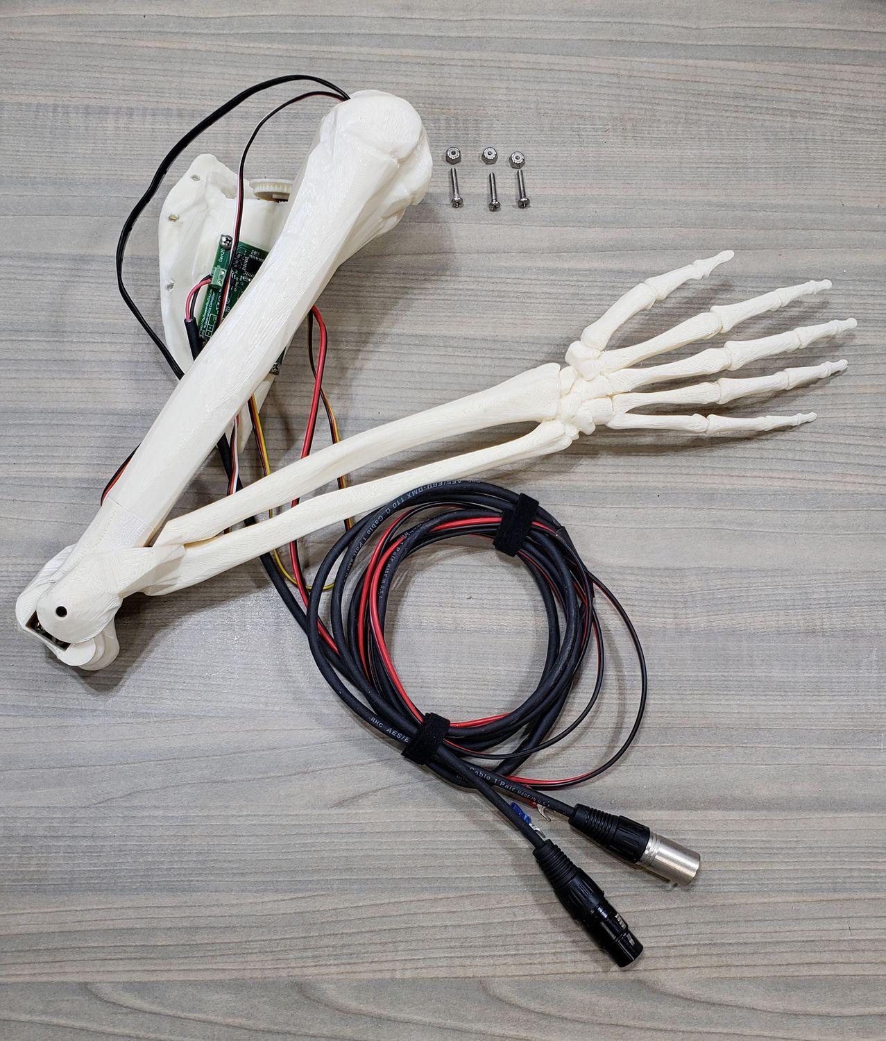 Halloween Skulls Store - your best source for Animatronic 3 Axis Skulls