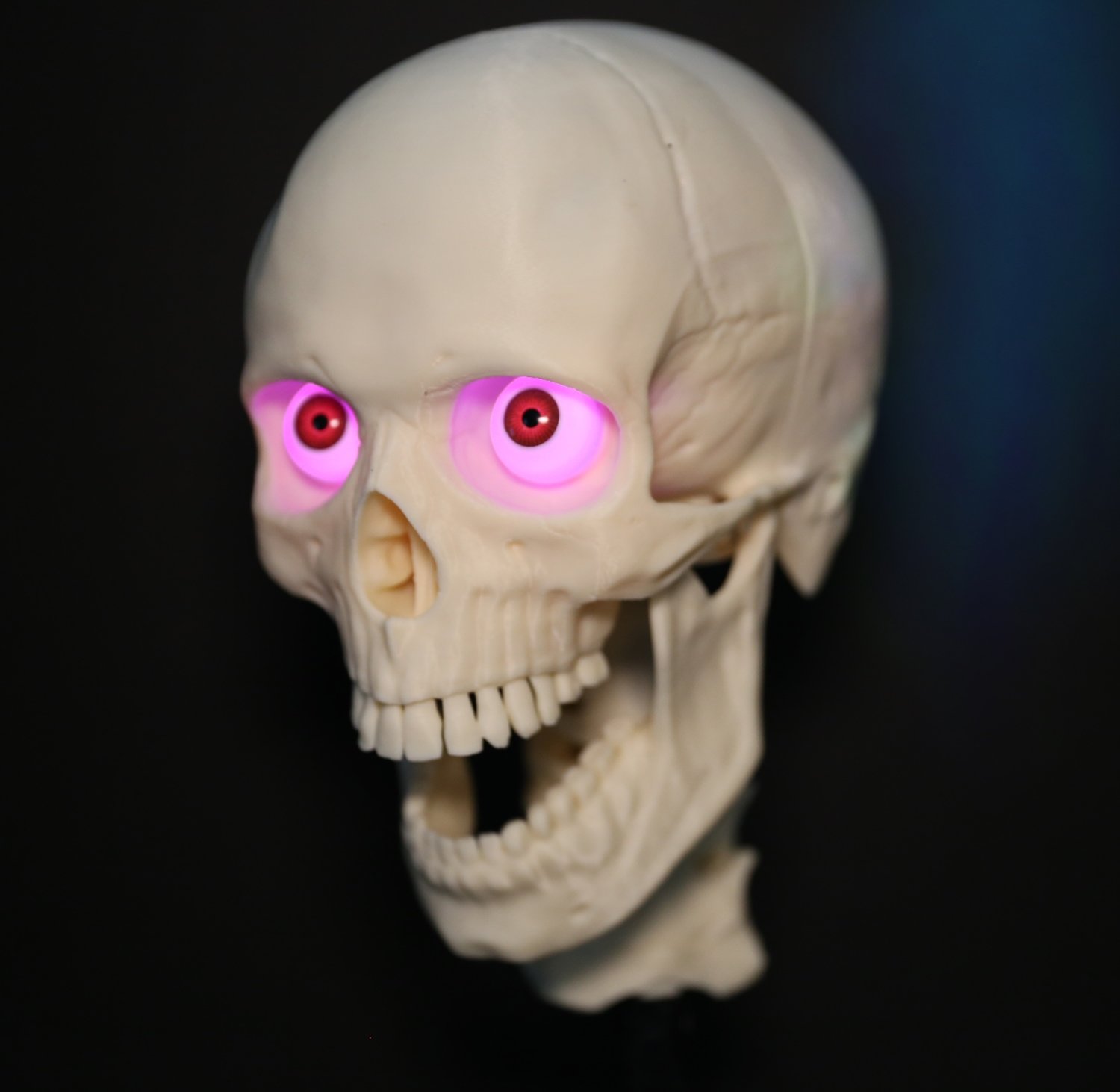 Halloween Skulls Store - your best source for Animatronic 3 Axis Skulls