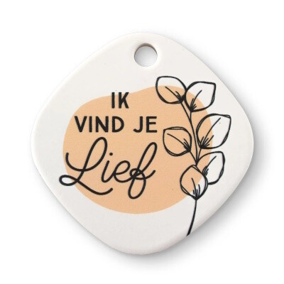 Keramieken Magneet - Ik vind je lief