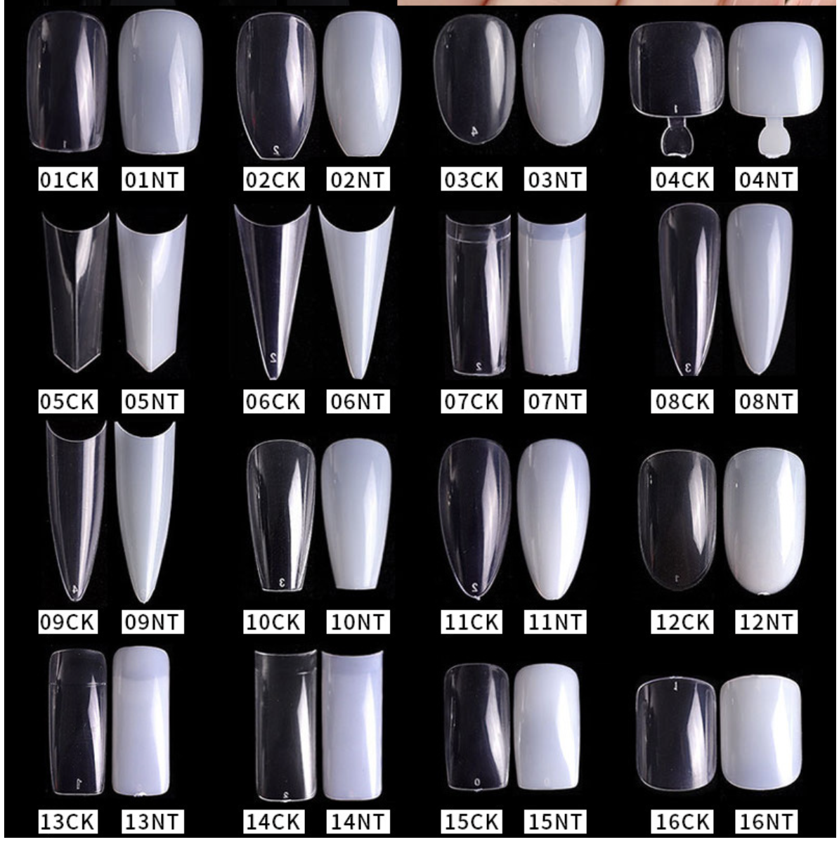 Nail Tips & Display Nails