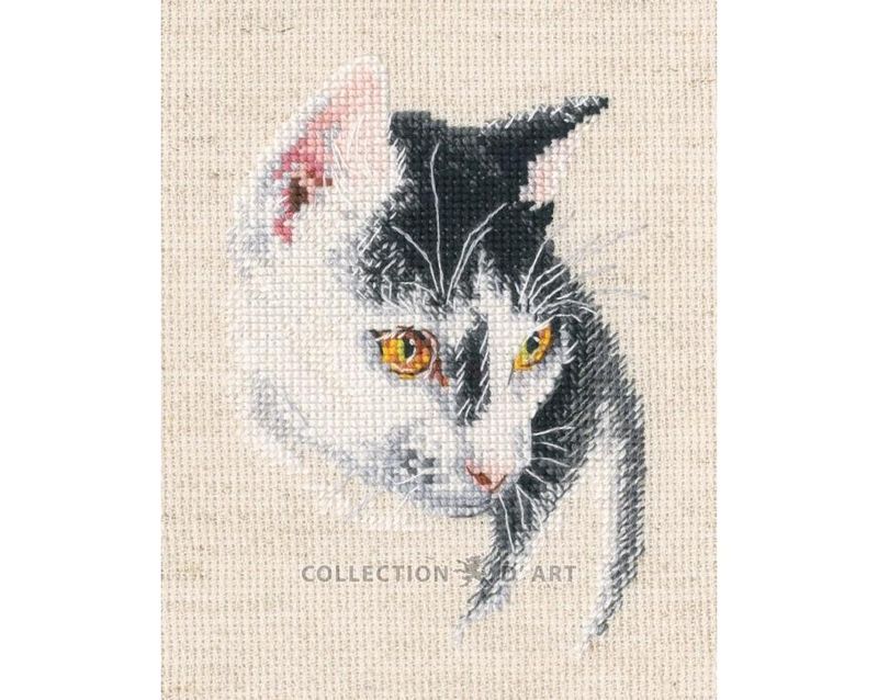 Fascinating by RTO 2024 Counted Cross Stitch Kit