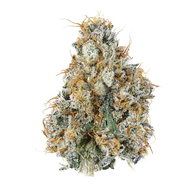Gary Payton THCA Flower One Gram (HYBRID) (High Grade)