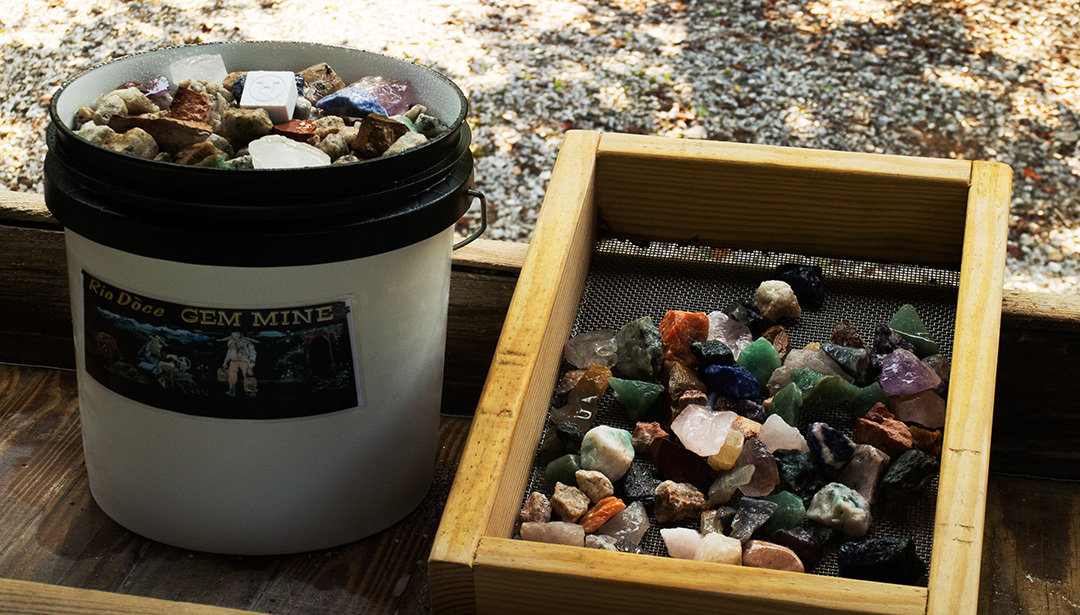 Surprise 2 Gallon Bucket