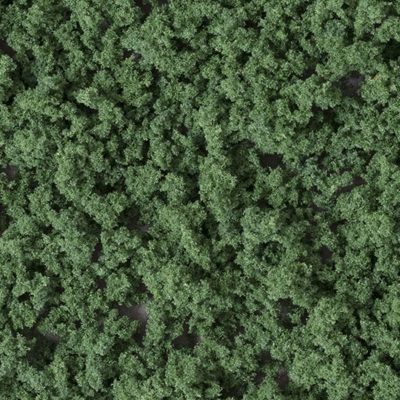 Underbrush
