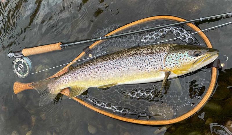 Fishing
