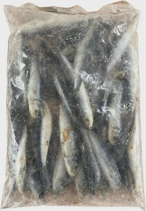 500gm Pilchards PLF salted