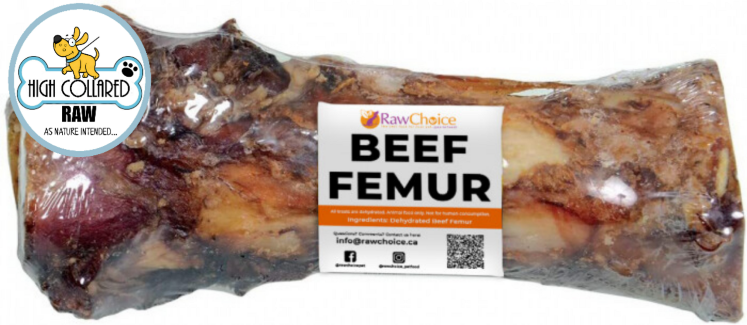 Dehydrated Beef Femur | Shop here | Raw Dog Food Ajax | High Collared Raw