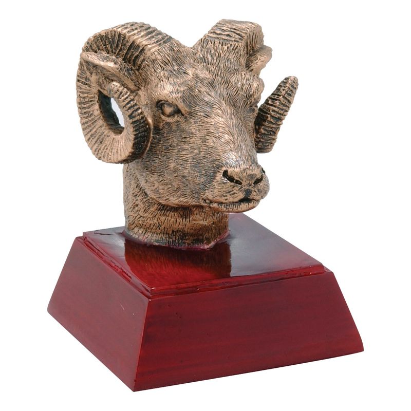 RS Resin, Ram