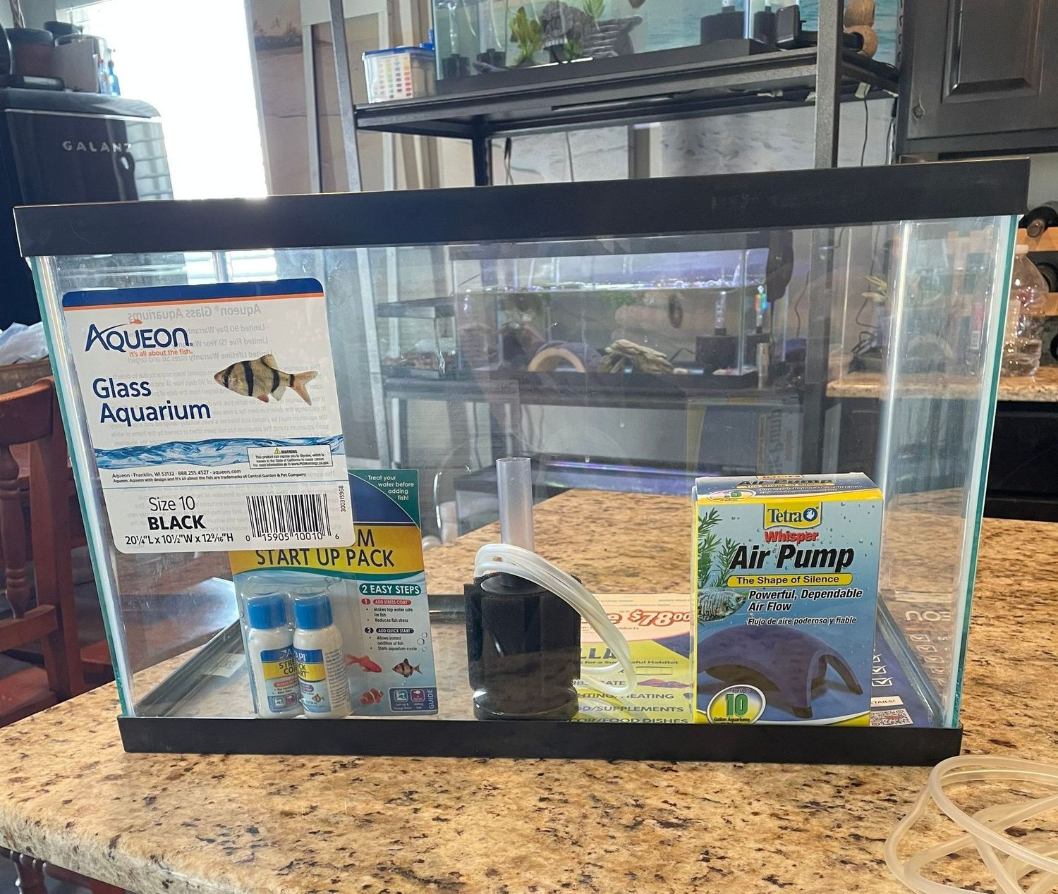 Axolotl Tank and Setup