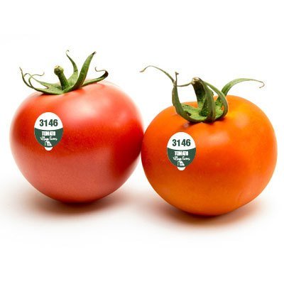 New WaterMelon Labels | Store