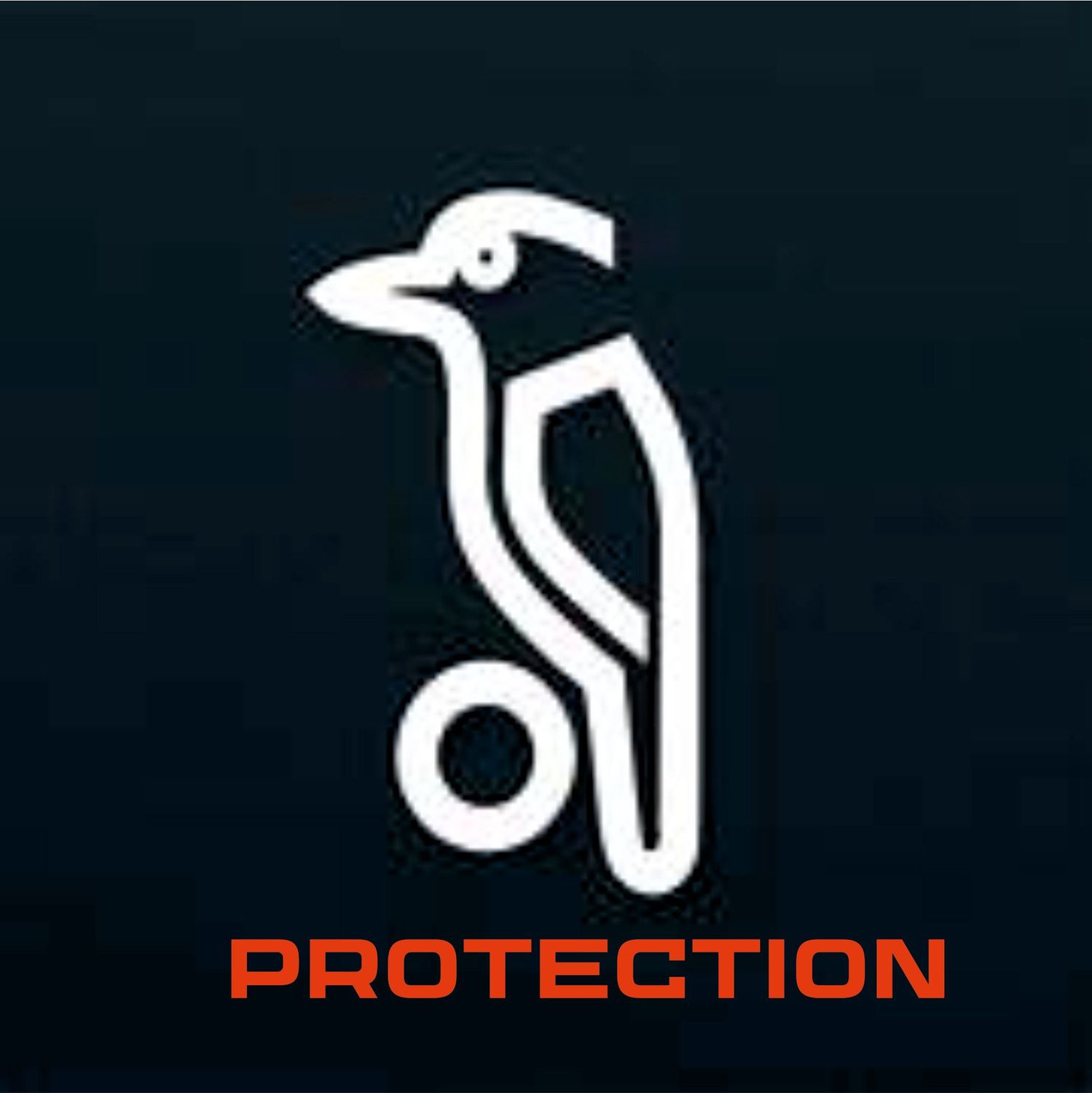 Protection