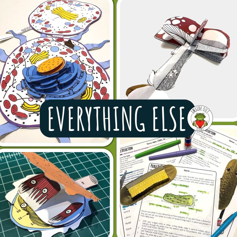 Explore Anatomy with Dissection Models: Inside Out Science