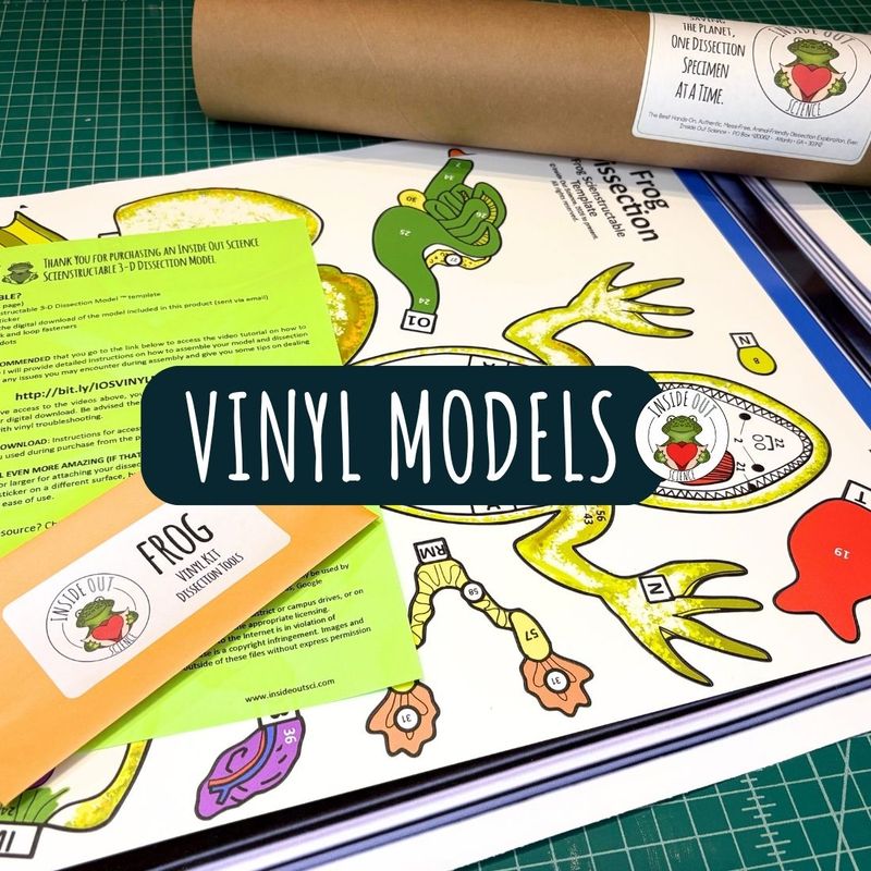 Explore Anatomy with Dissection Models: Inside Out Science