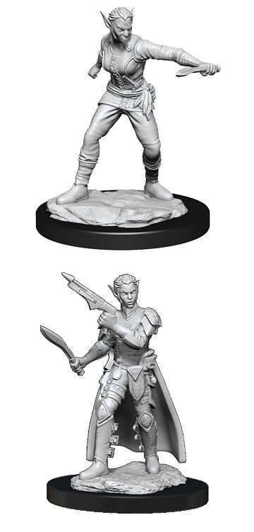 Nolzur's Marvelous Miniatures: Shifter Rogue Female