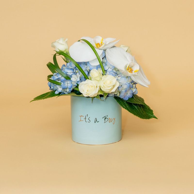 New Baby Arrival Collection