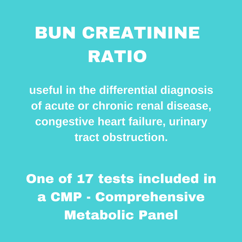 BUN CREATININE RATIO bun-creatinine-ratio