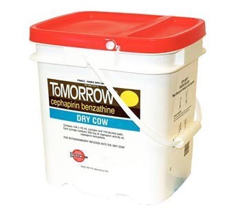 ToMorrow Mastitis Syringes 10 ML 144/PAIL Dry cow mastitis treatment