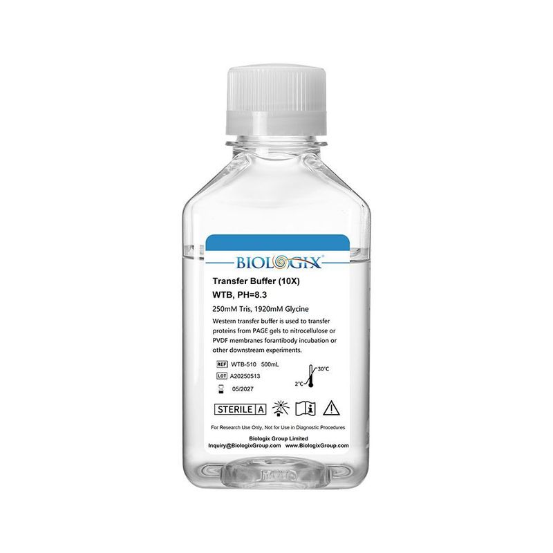 Biologix Wash Buffers | Reliable Solutions for Lab & Research