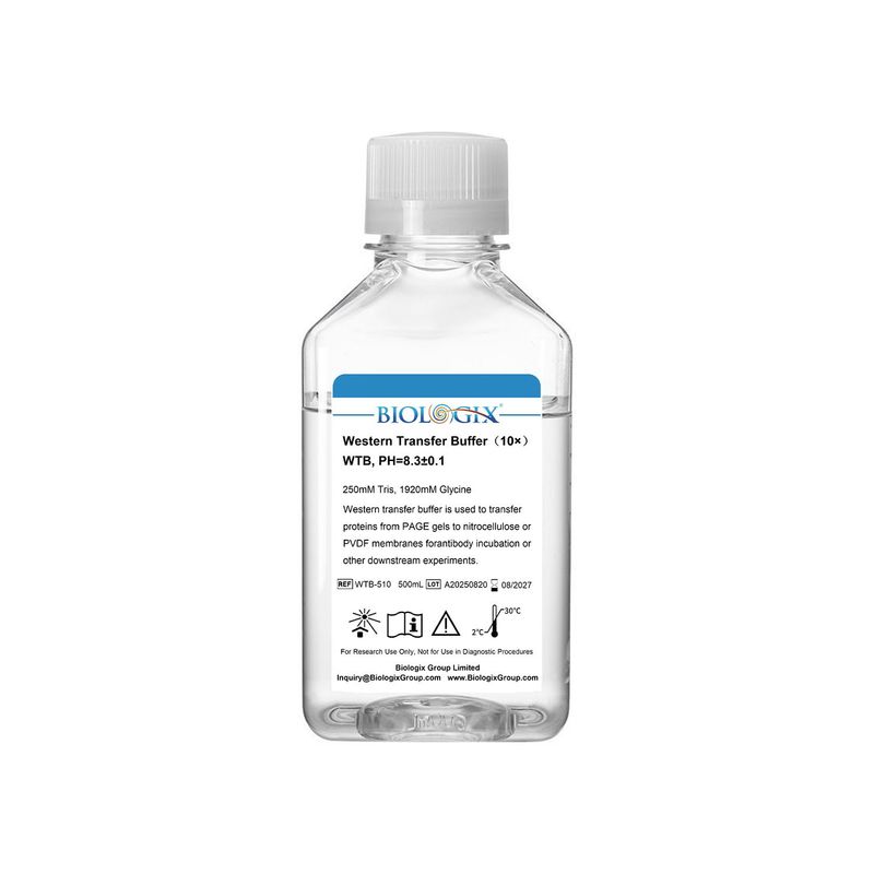 Biologix® Western Transfer Buffer ( 10X ), pH 8.3, 500mL/ Bottle, 10 ...