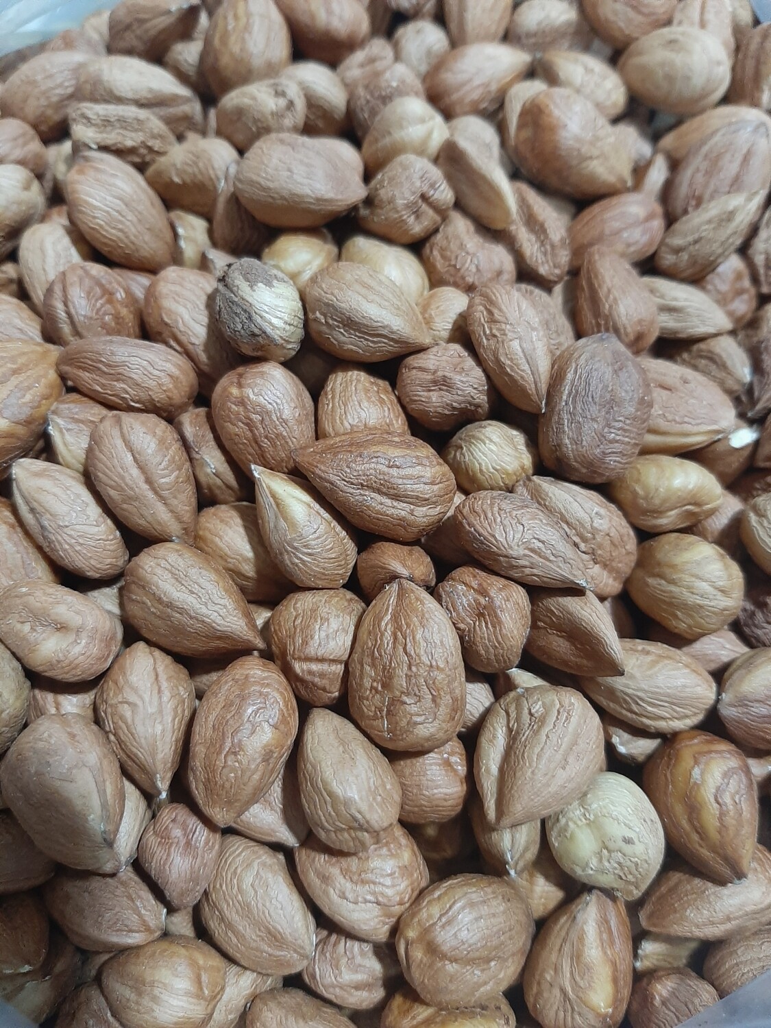 Lajthi e qëruar vendi