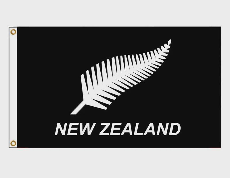 Silver Fern Flag - Medium