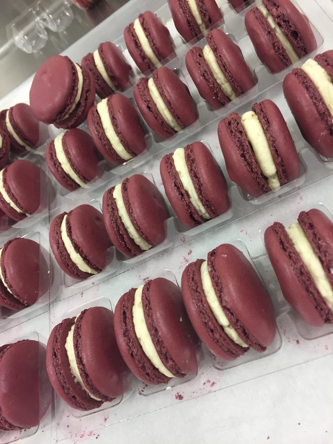 Black Raspberry Chocolate Chip