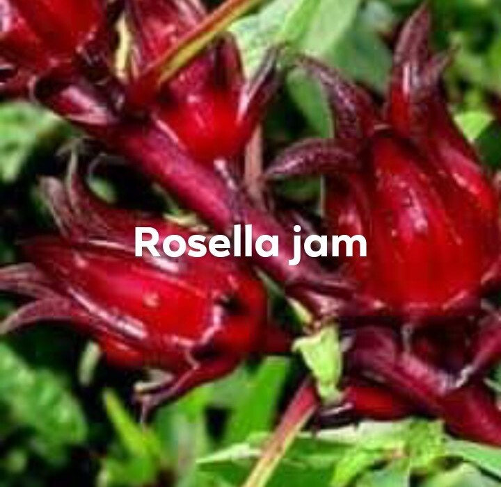 Jam Rosella 250g