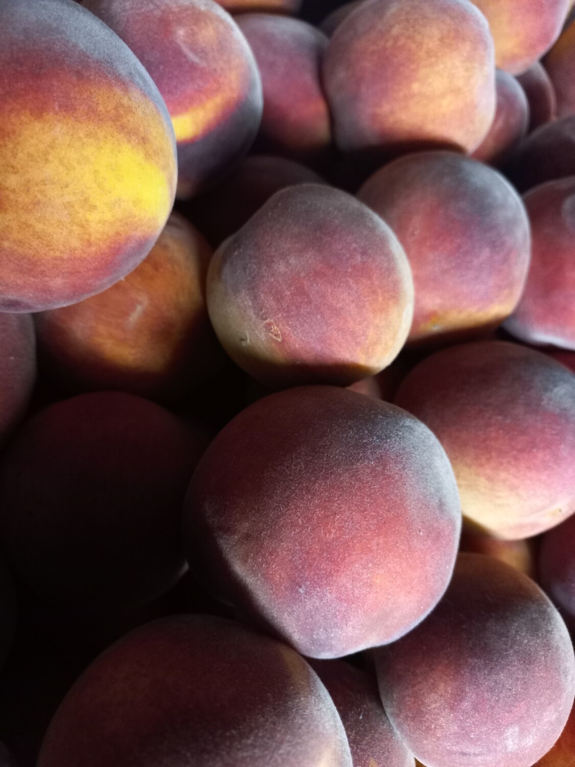 Stonefruit peaches 500g