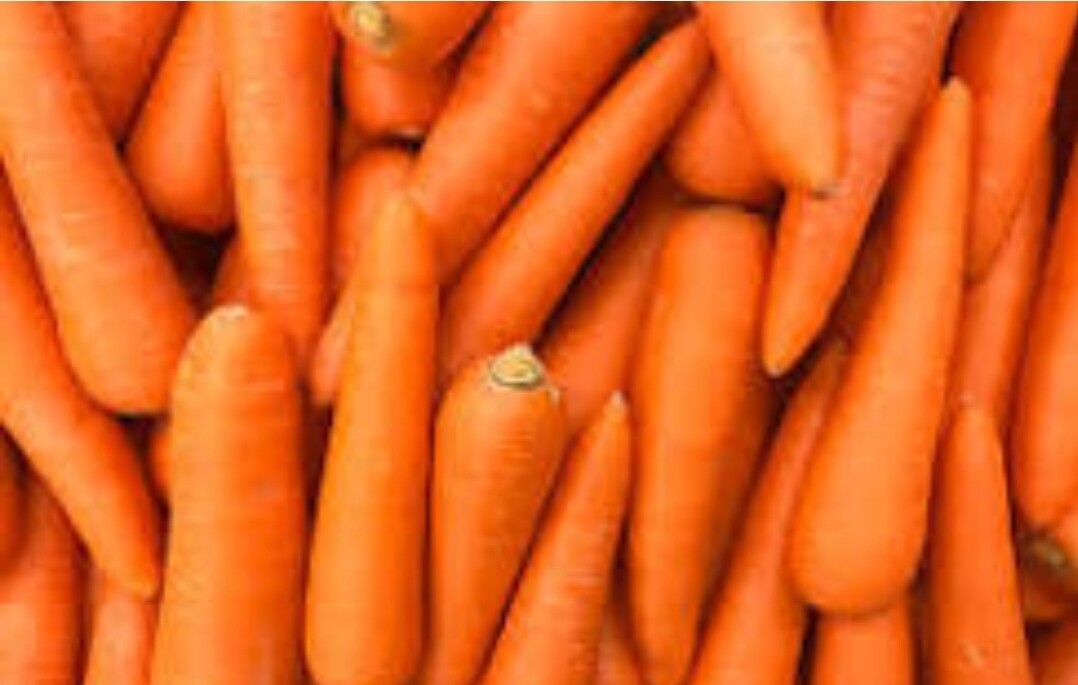 Carrots juicing 5kg second grade