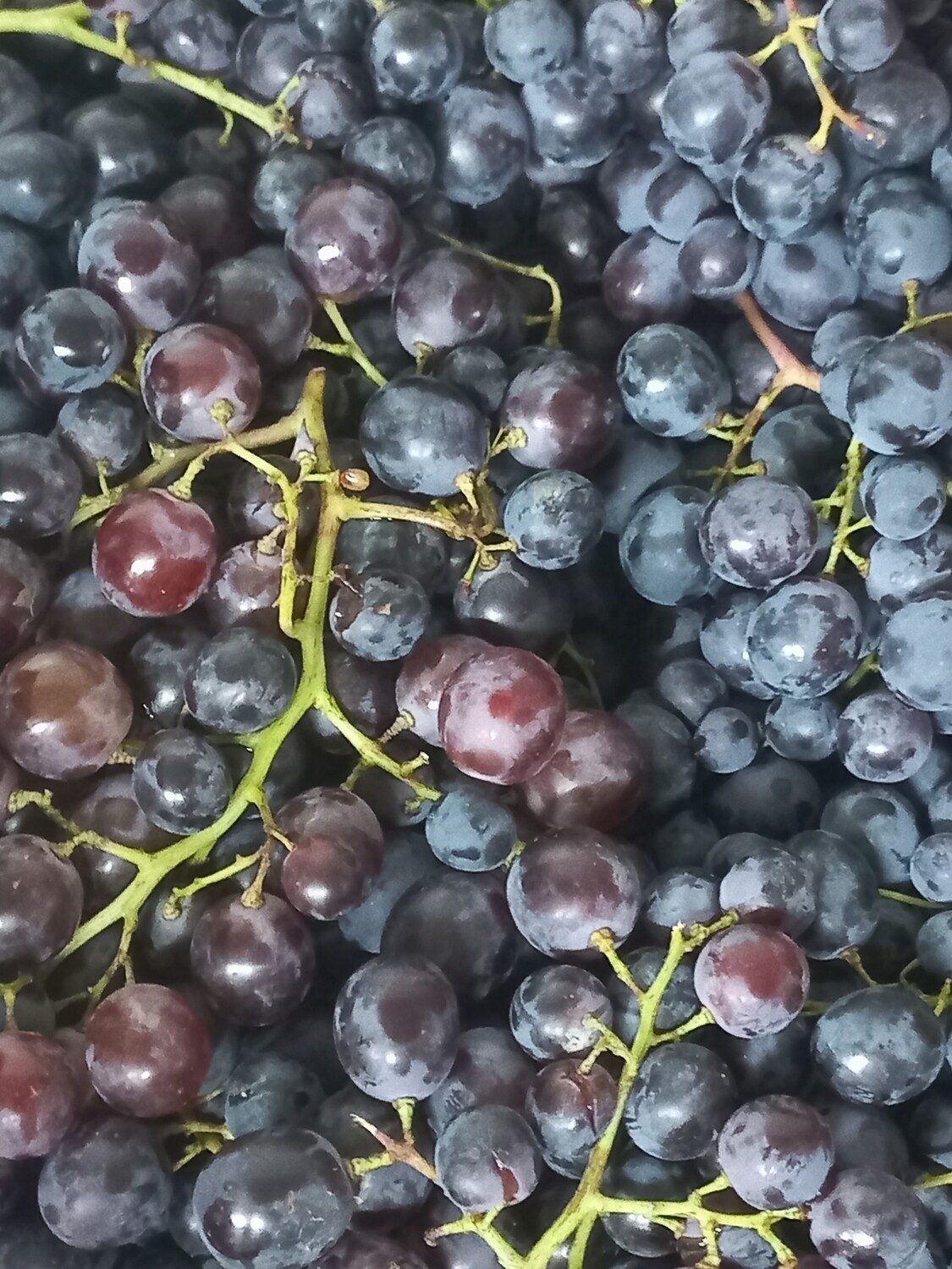 Fruit grapes black muscat 1kg