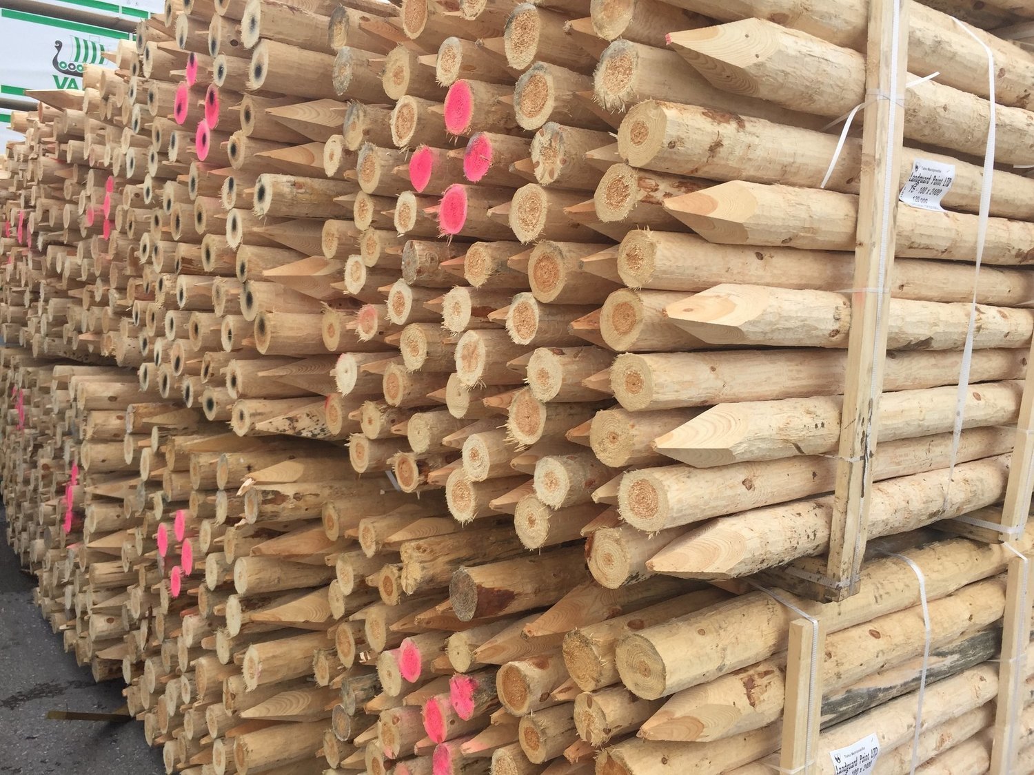 Standard Treated Pointed & Peeled Stakes 75/100mm