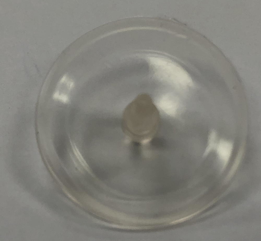 Mares MR12 III 2nd Stage Exhaust Valve