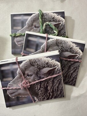 Ranching Tradition Fiber