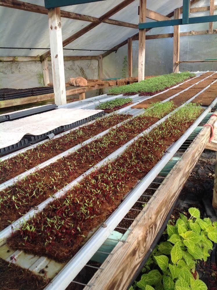Grow Mats