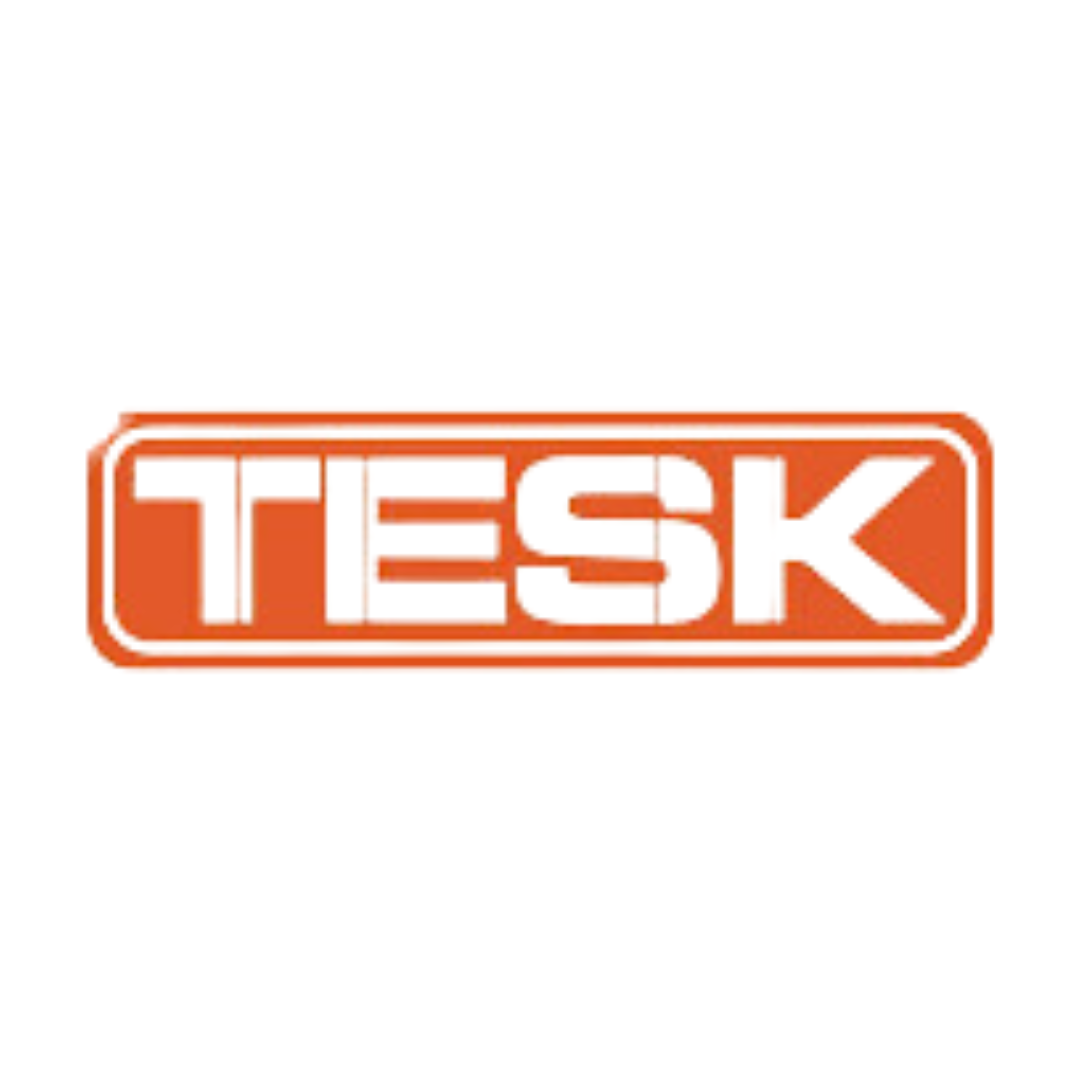 Tesk Pumps