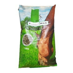 Horse Paddock Grass Seed