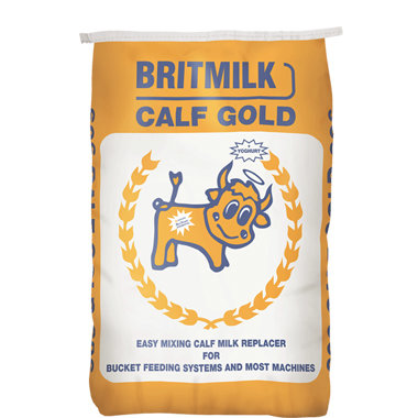 Calf Gold Milk