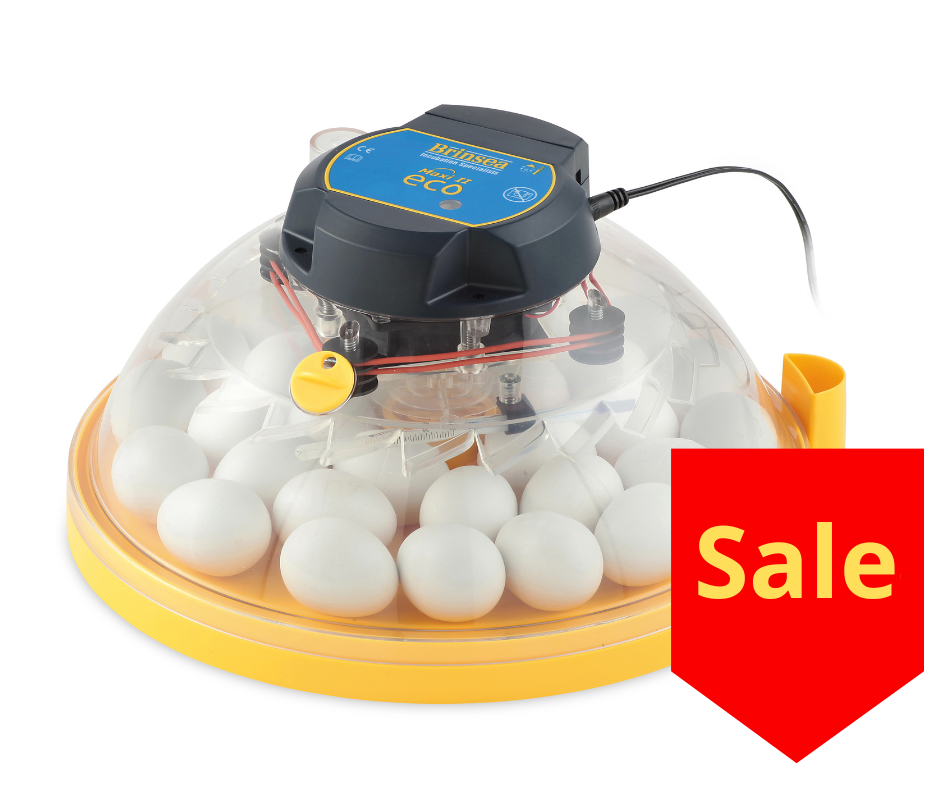 Incubators and Hatching