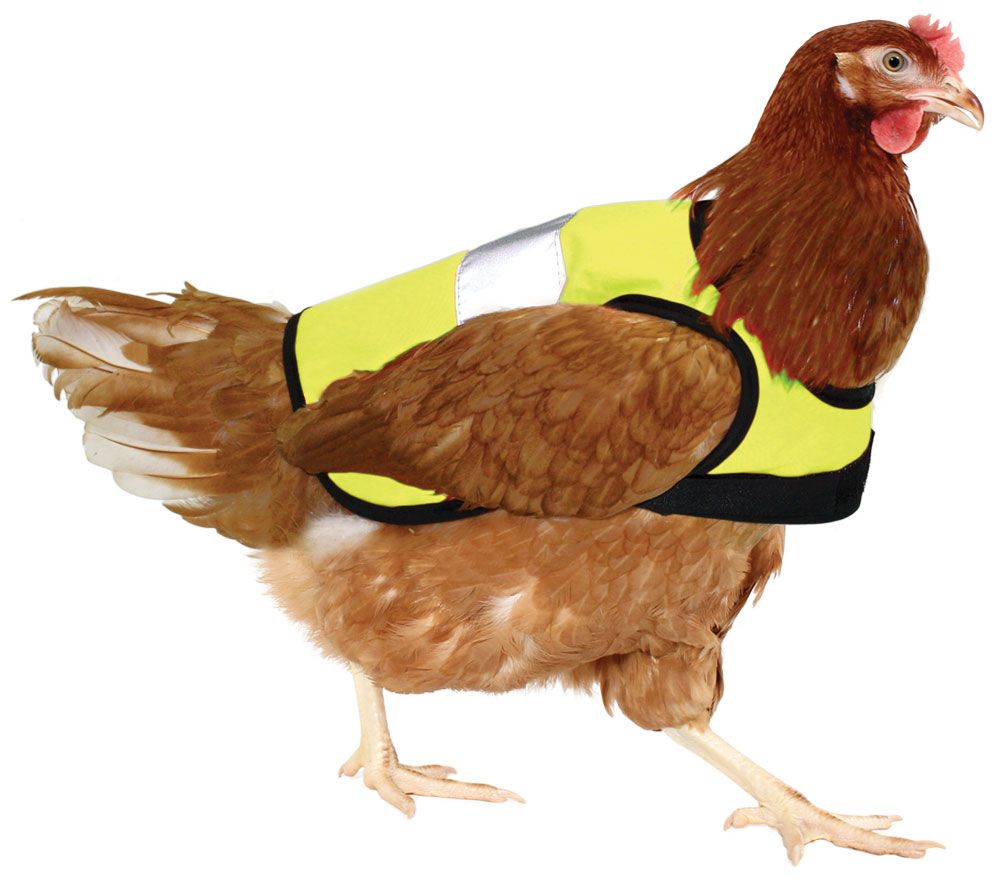 High-Vis Chicken Jacket