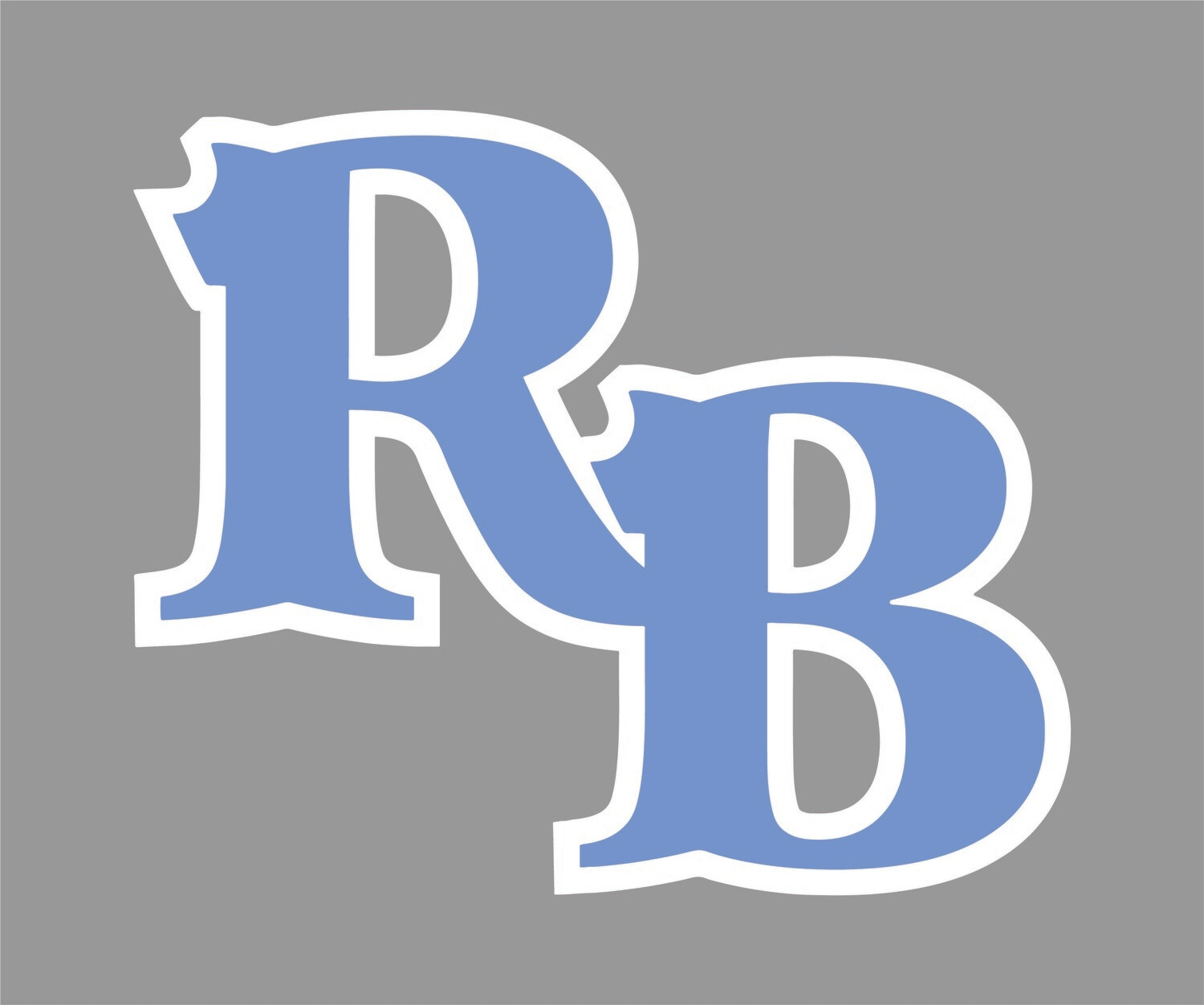 Rhino Baseball Practice Gear