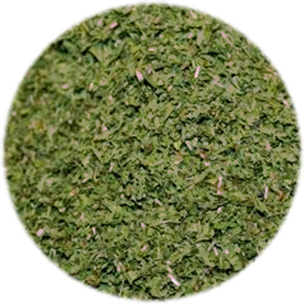 Red Clover - Organic